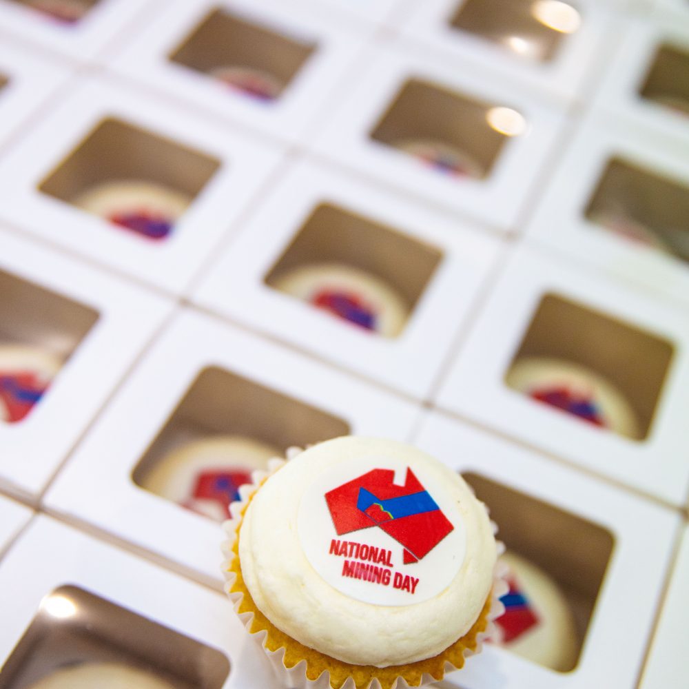 Home - National Mining Day