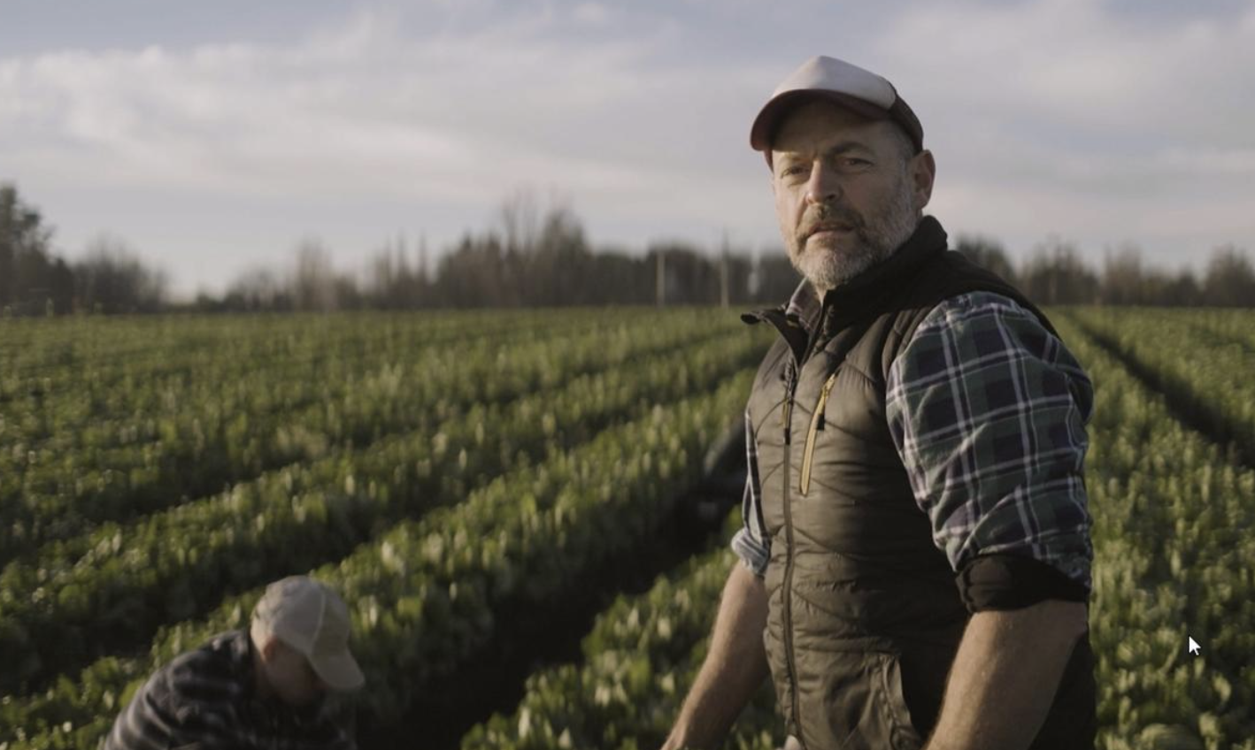 IR war: New business ads warn laws will ‘make cost-of-living worse ...